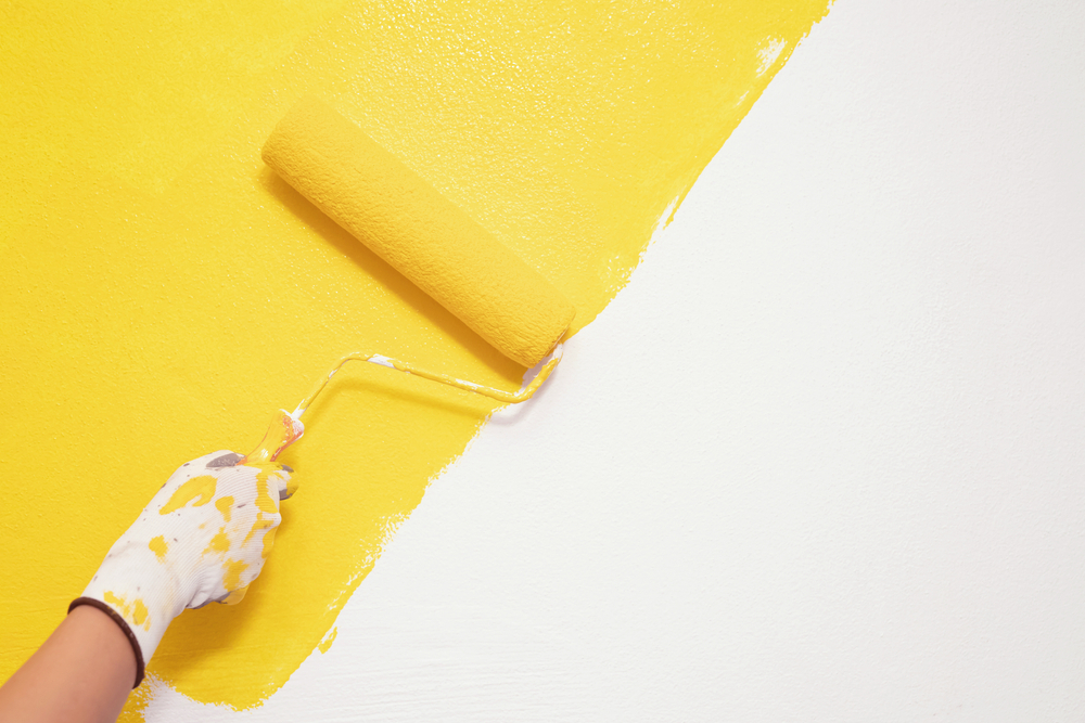 Choosing the Perfect Paint for Your Interior Walls: A Beginner’s Guide ...