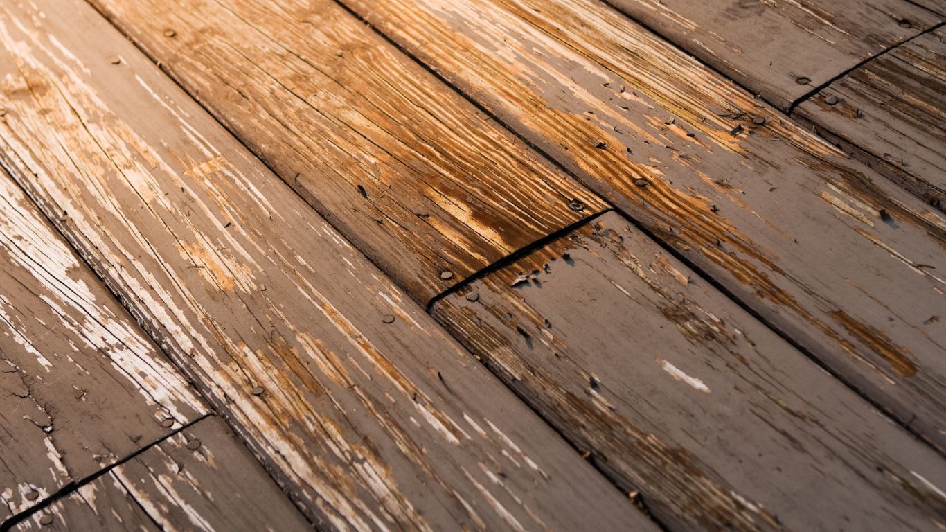 Why Do Many Decks Fail Prematurely? Learn How Expert Staining and ...